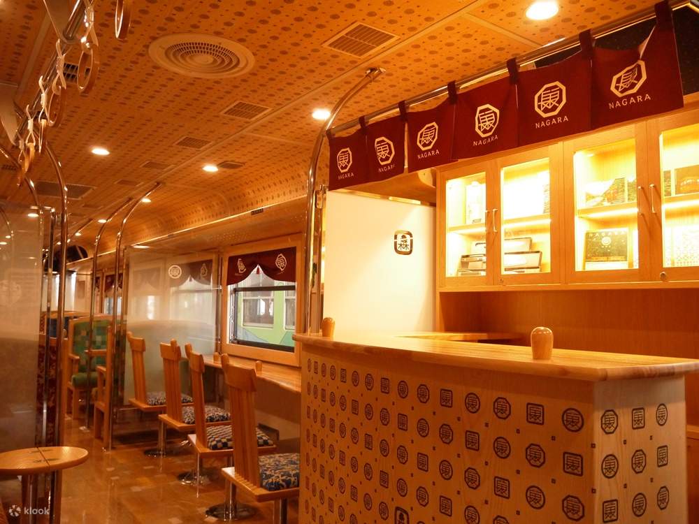 Nagaragawa Railway and Gujo Hachiman Private Walking Tour with Cherry ...