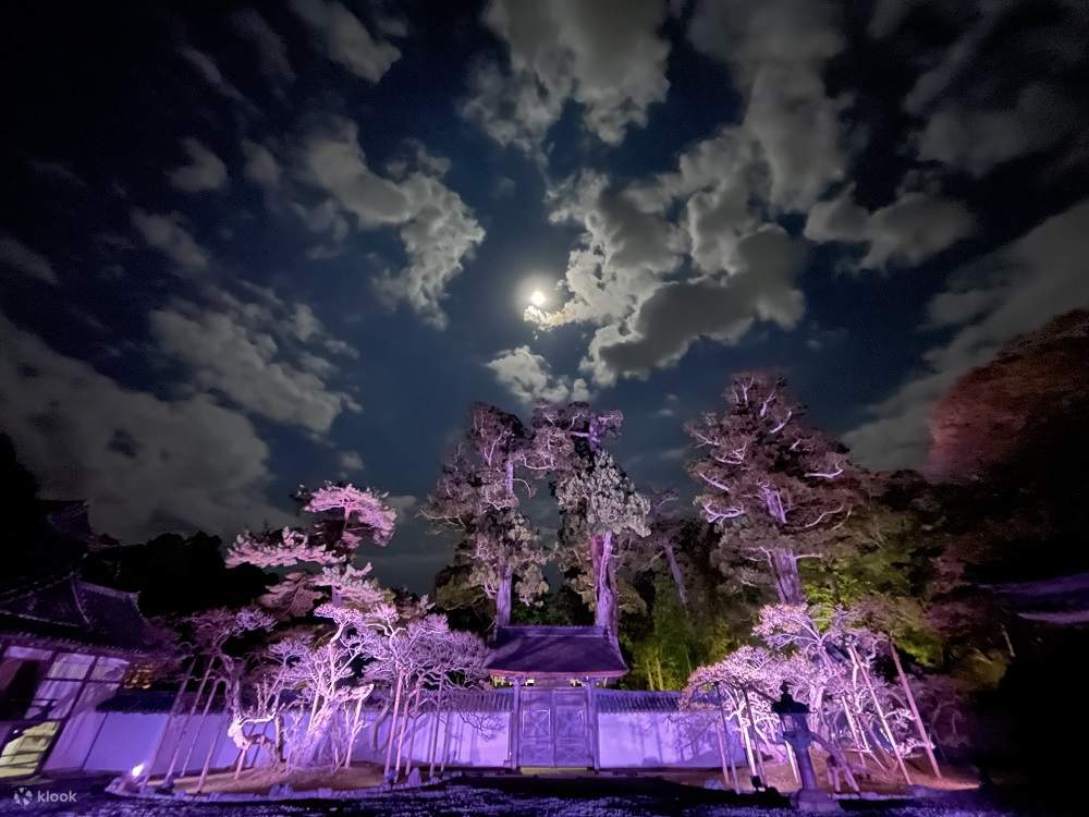 NAKED Matsushima & National Treasure Zuiganji Temple Autumn Nighttime ...