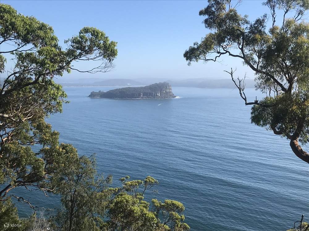 Northern Wilderness and Coastal Adventure Day Tour in Sydney - Klook