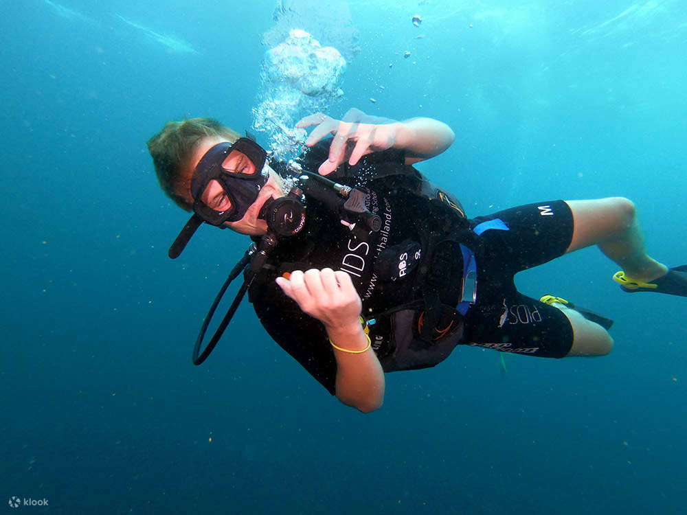 Experience PADI Try Scuba Diving in Koh Phangan with PADI 5 Star Dive ...