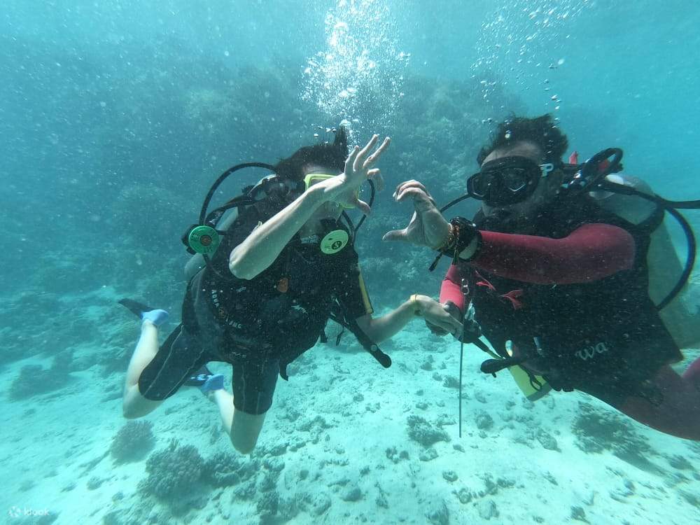 Luxury Yacht Experience In Hurghada With Diving Snorkeling And Seafood Lunch Klook