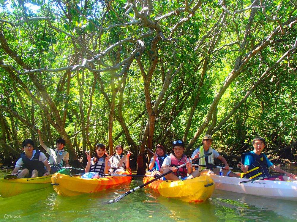 Mangrove Kayaking and Fishing Experience in Okinawa - Klook