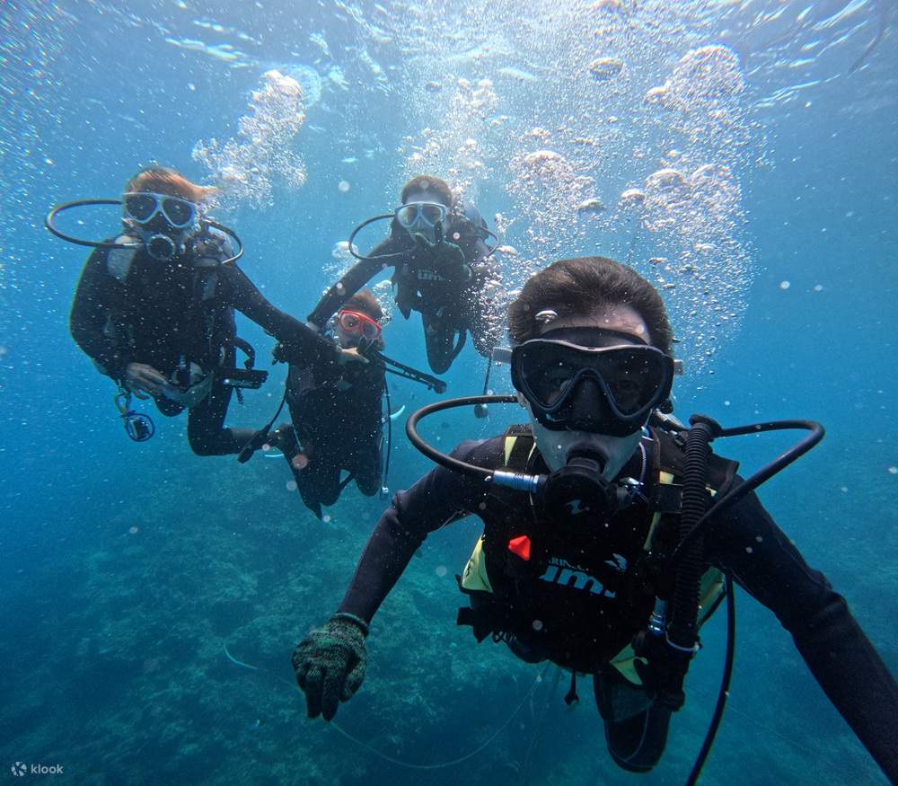 Onna Village: Nudibranch Diving Tour - Klook India