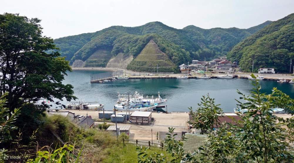 Busan - Tsushima Island Ferry by PANSTAR Cruise - Klook United States