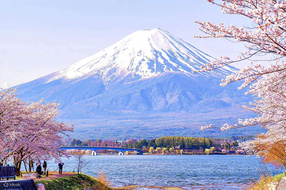 Mount Fuji Internet celebrity check-in spot & Kawaguchiko four-season ...