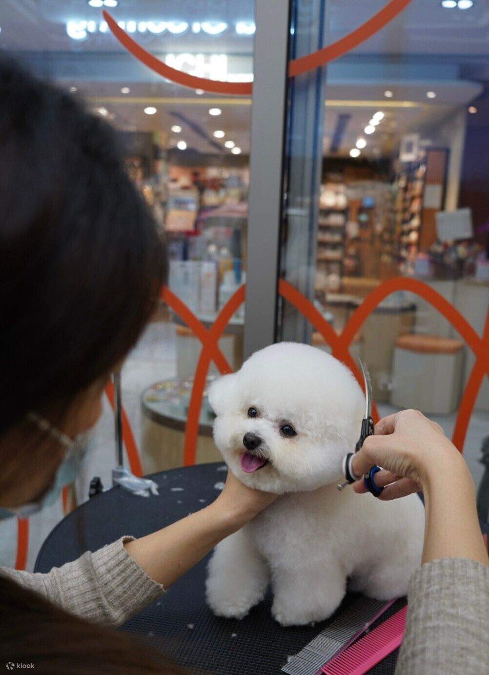 Good Grooming｜Kupon perawatan hewan peliharaan Mini Groom dan layanan ...