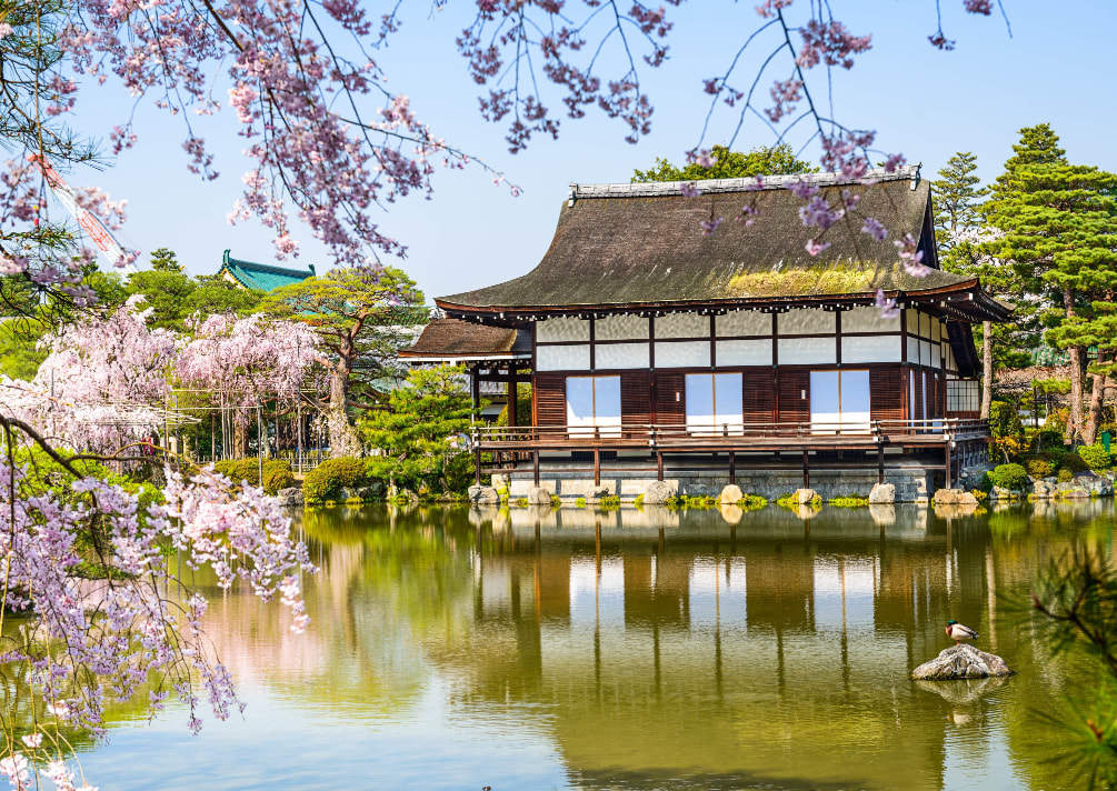 Nijo Castle/Heian Shrine/Kinkaku-ji Temple/Arashiyama/Fushimi Inari ...