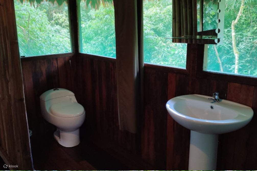 Immerse Yourself in Nature: Manu Jungle Tour 3 Days Adventure - Klook