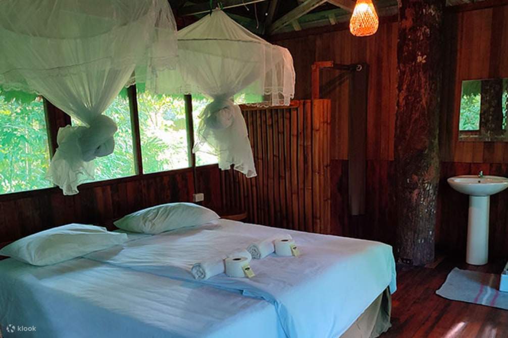 Immerse Yourself in Nature: Manu Jungle Tour 3 Days Adventure - Klook