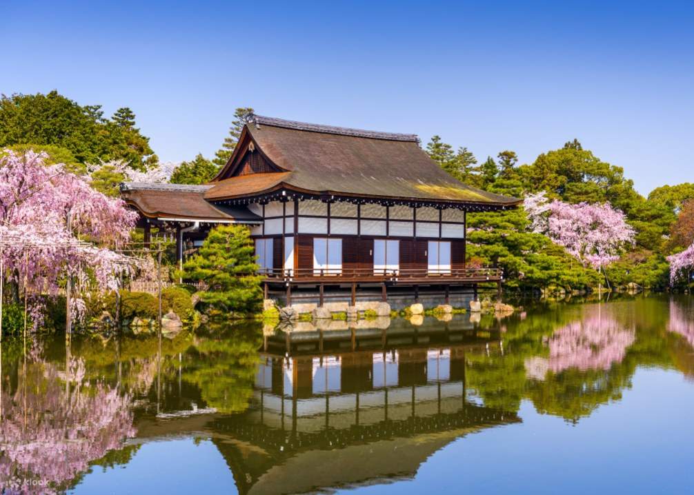 Nijo Castle/Heian Shrine/Kinkaku-ji Temple/Arashiyama/Fushimi Inari ...