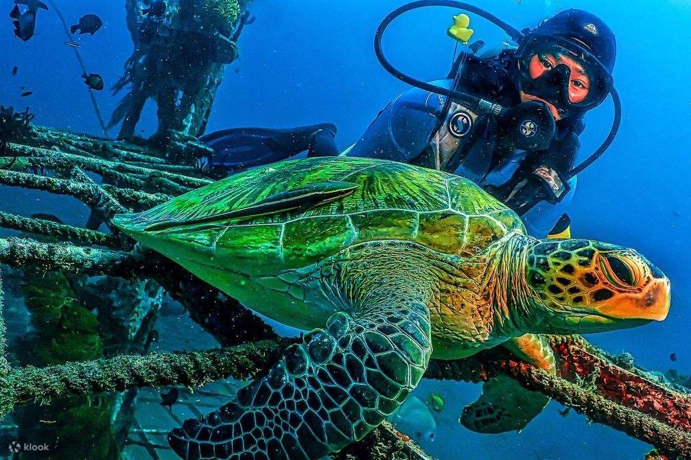 3D2N or 5D4N Stay at Borneo Dive Mabul Resort Full Board - Klook ...