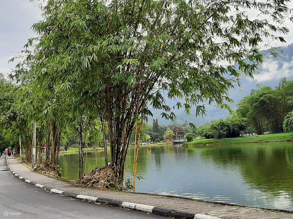 【Depart from Penang】Sepang Ecological Tour, Taiping Ancient City Tour ...