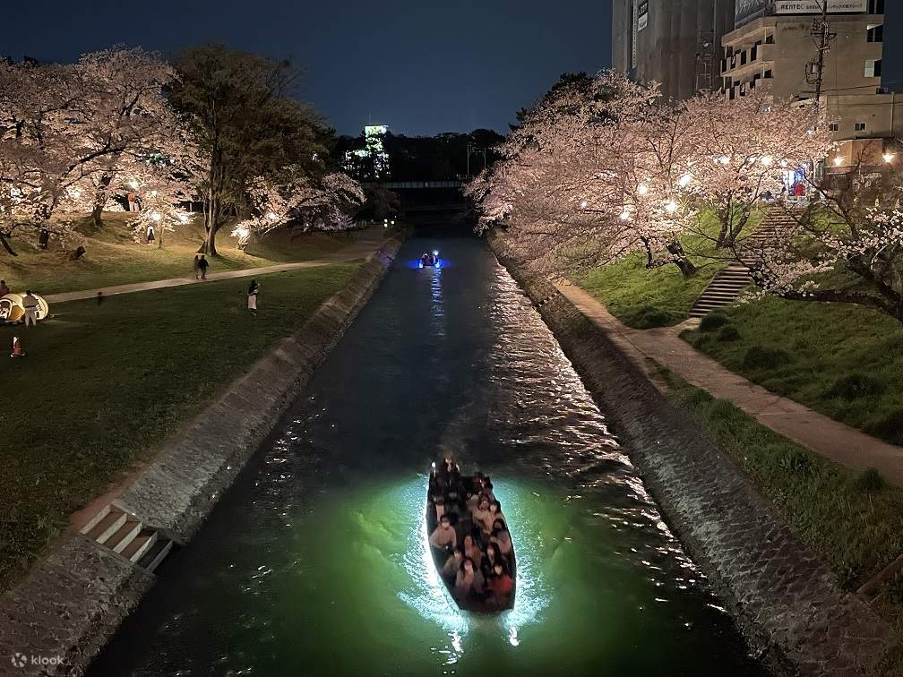 Okazaki Sakura Festival with Boating and Enjoy Lighted Up Sakura ...