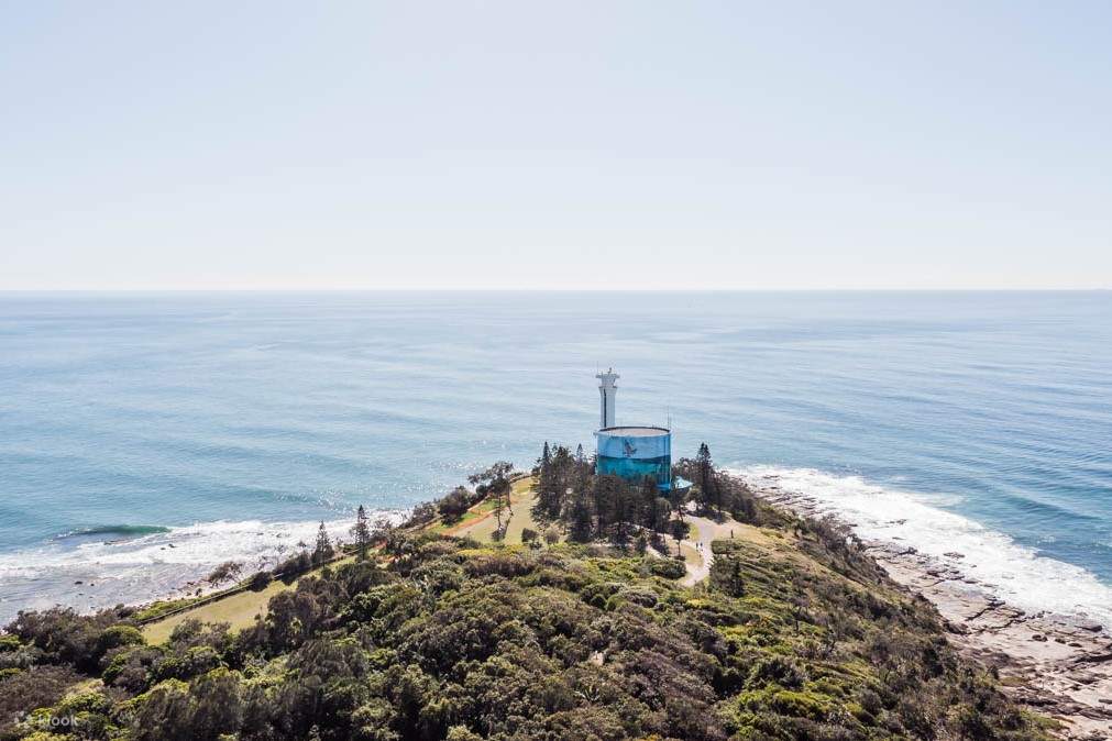 Adventure Rafting Action Ride in Mooloolaba Australia - Klook