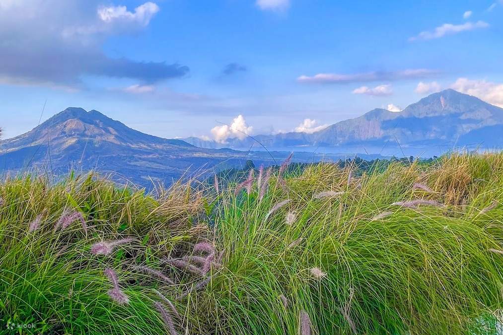 Private VW-Tagestour zum Berg Batur und Ubud auf Bali - Klook ...