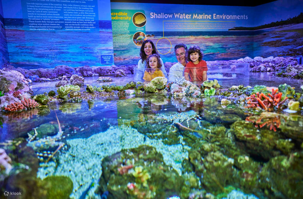凱恩斯水族館暮光之城之旅含 3 道菜晚餐門票 Klook香港