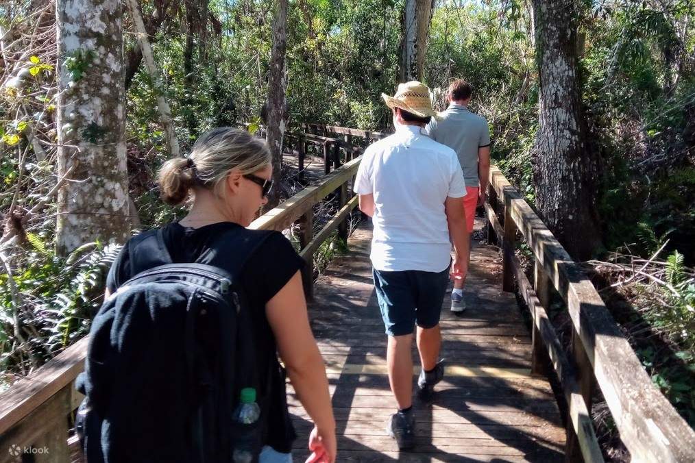Full Day: Everglades Adventure with a Wet Walk - Klook