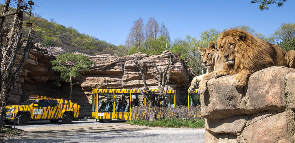 Everland Korea Theme Park Tickets - One Day Pass (QR Code Entry) - Klook