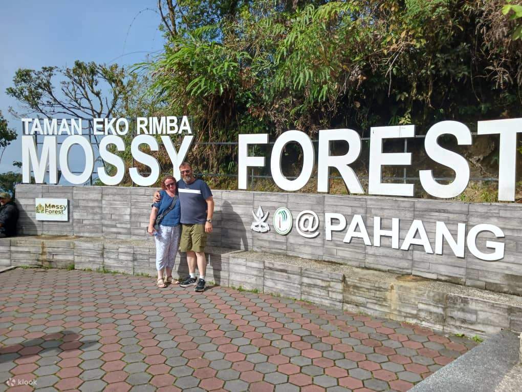 Cameron Highland Private Day Tour From Ipoh - Klook United Kingdom