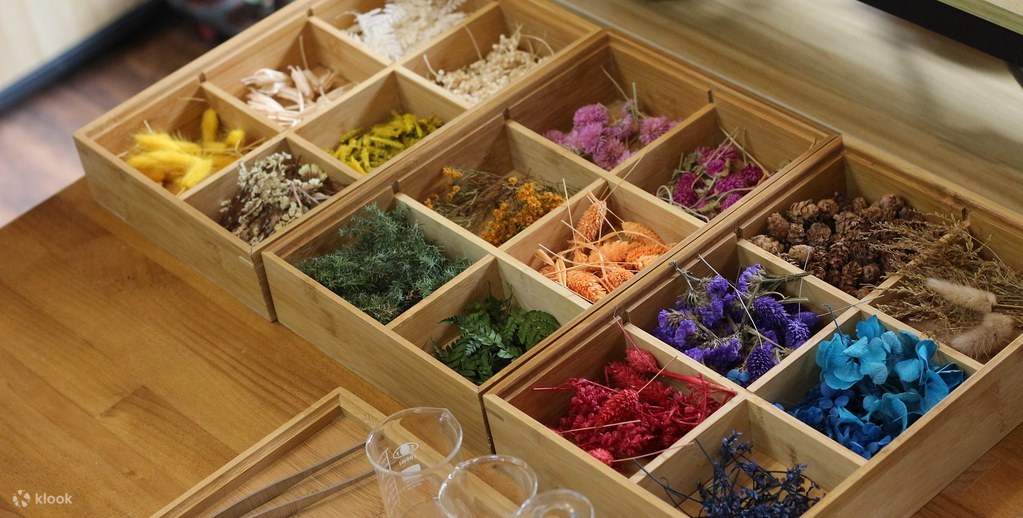 Original Ecological Studio Classic Perfume Five Elements Fragrance ...