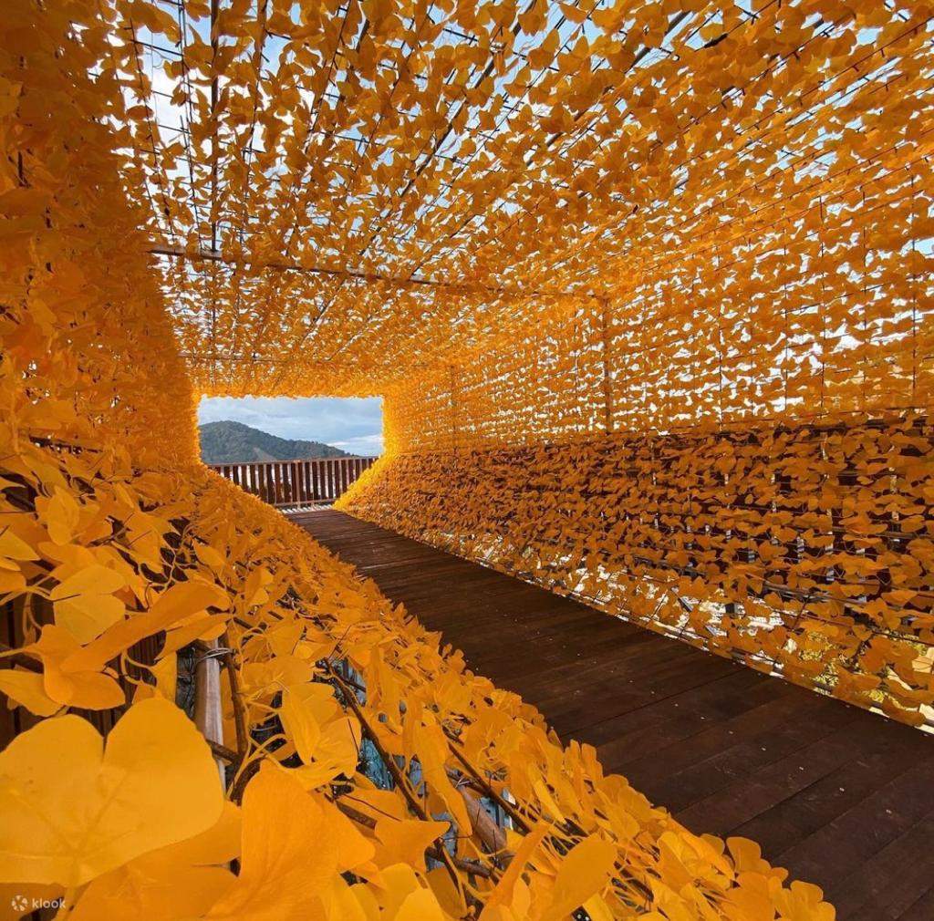 Taman Flora di Cameron Highlands - Klook Amerika Syarikat