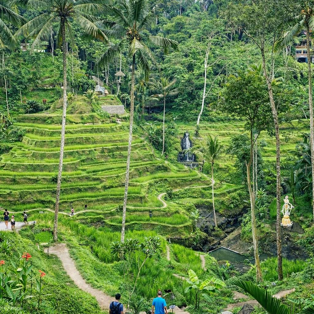 Jungle Swing and ATV Ride in Ubud - Klook United States