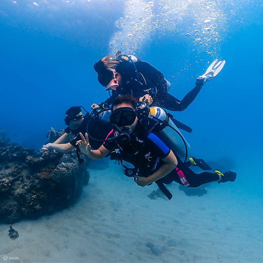 Experience PADI Try Scuba Diving in Koh Tao with PADI 5 Star Dive ...