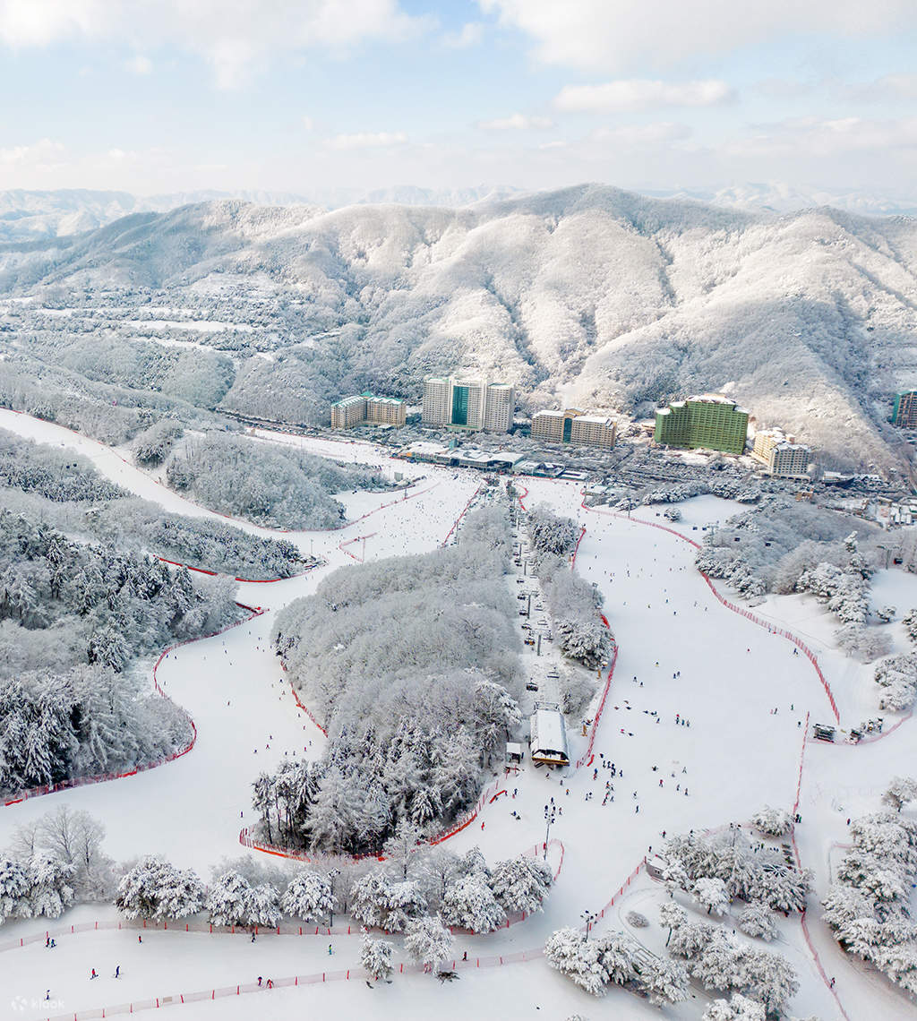 Private One-Way Transfer: Seoul - Elysian / Vivaldi / Yongpyong / High1 ...