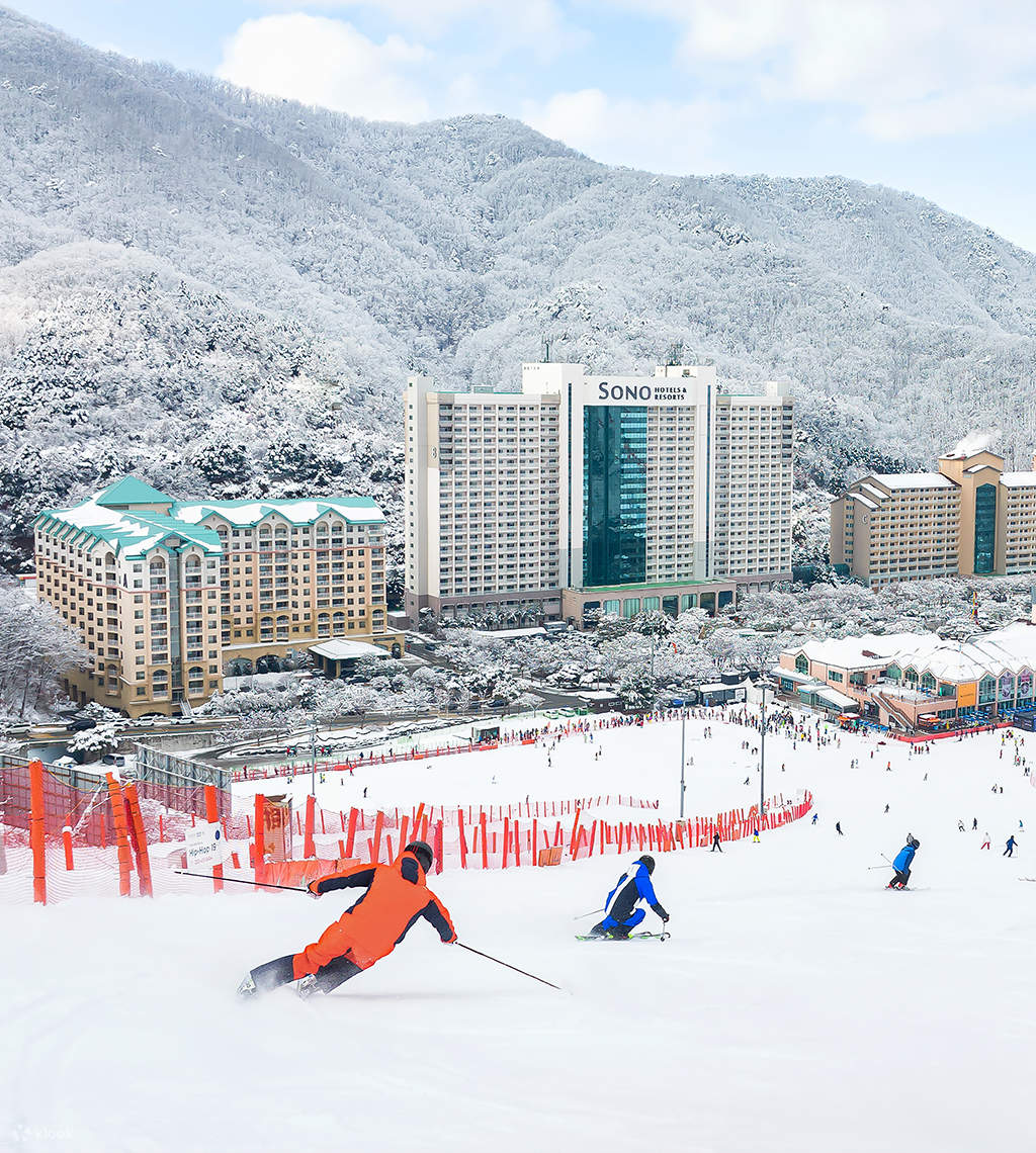 Private One-Way Transfer: Seoul - Elysian / Vivaldi / Yongpyong / High1 ...