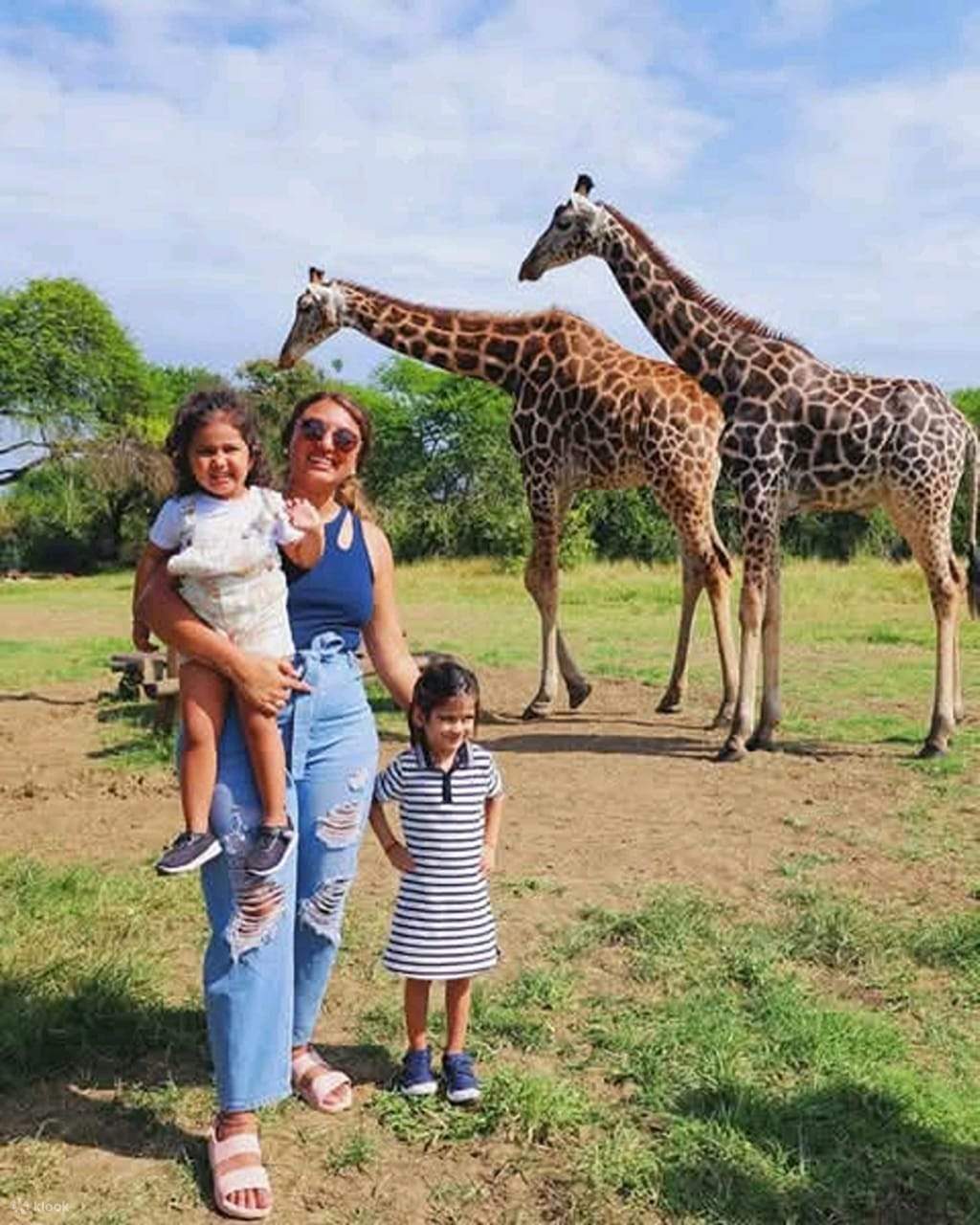 Mombasa: Guided Nature Walk Amongst Giraffes - Klook Singapore