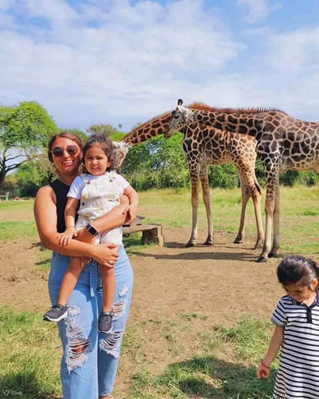 Mombasa: Guided Nature Walk Amongst Giraffes - Klook Singapore