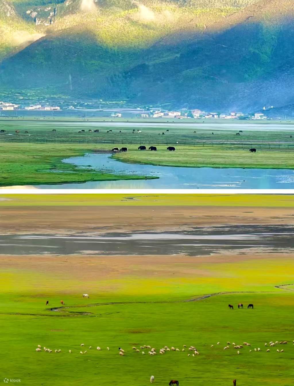 5-Day Yunnan Dali Lijiang Shangri-La Tour (Erhai Shuanglang, Lijiang ...