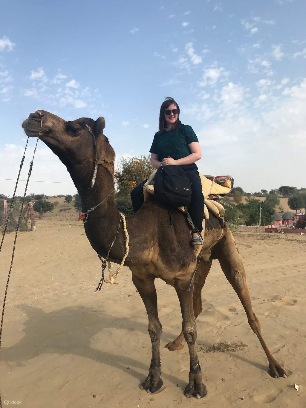 An Unforgettable Camel and Jeep Safari in Osian Villlage with Meal ...
