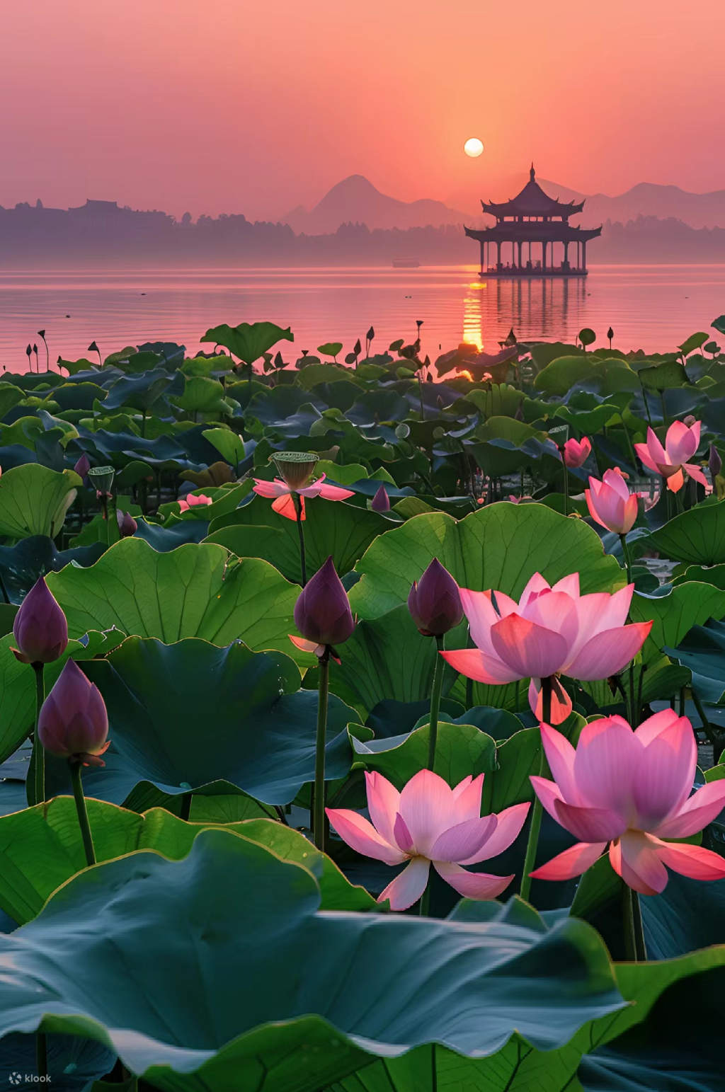 Hangzhou West Lake Painted Boat Cruise + Tea Tasting + 1-Hour ...