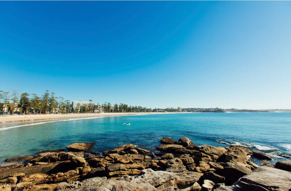 Northern Wilderness and Coastal Adventure Day Tour in Sydney - Klook