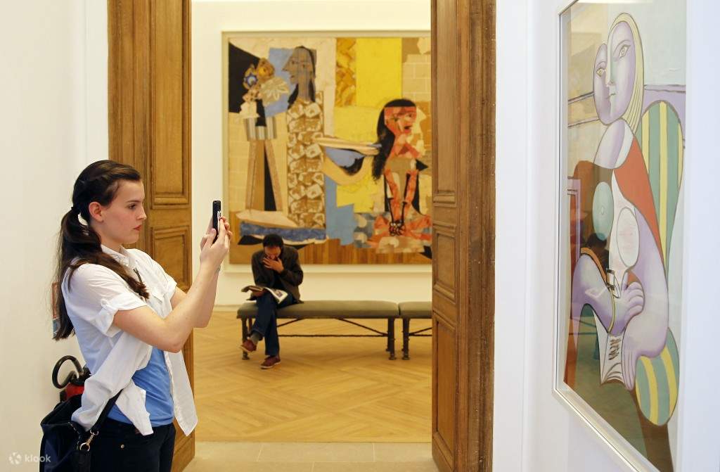 Parisian Art Extravaganza: Centre Pompidou & Musee Picasso Highlights ...