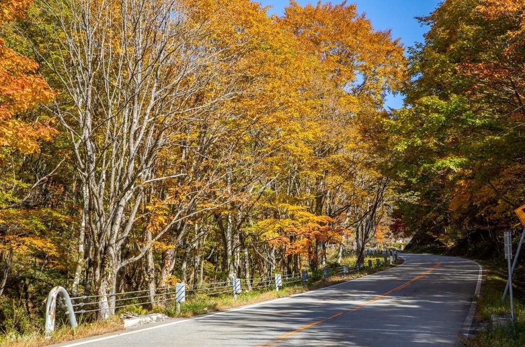 Kamikochi, Shinhotaka Ropeway & Takayama Old Town 2 Days from Nagoya ...