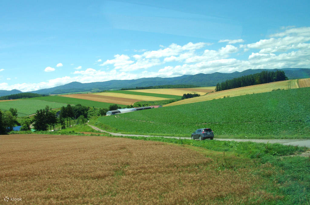 2 days 1 night Furano Asahikawa bus tour | Depart from Sapporo - Klook