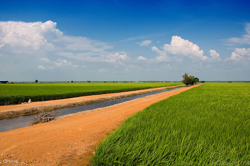 Lawatan Sky Mirror & Sawah Padi Sekinchan dari Kuala Lumpur - Klook ...