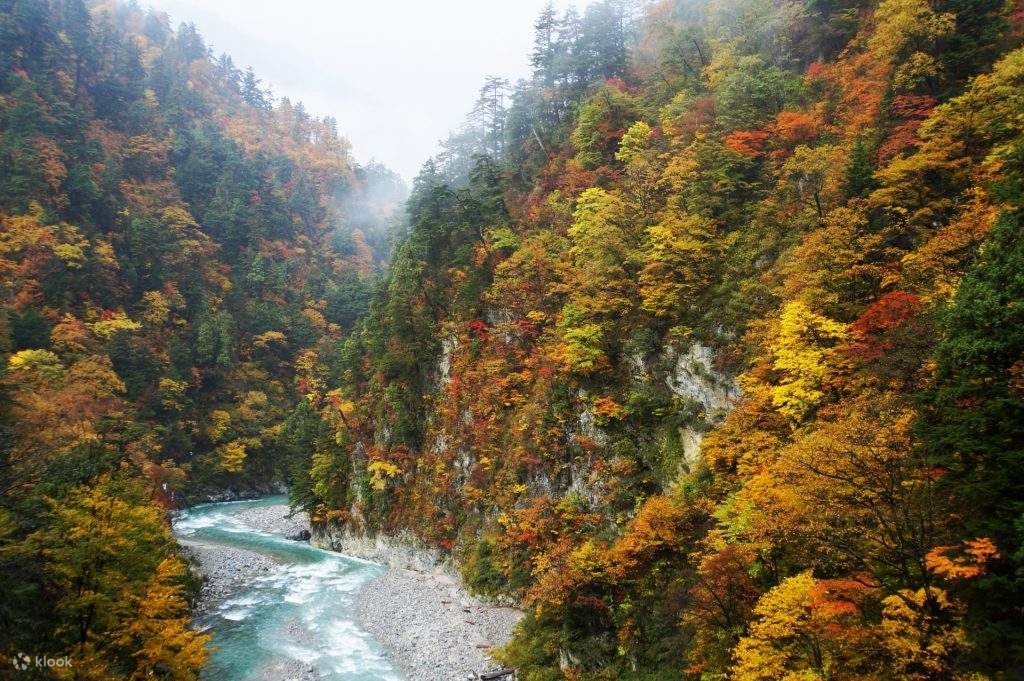 Kurobe Gorge and Unazuki Onsen dau tour (from Kanazawa) - Klook