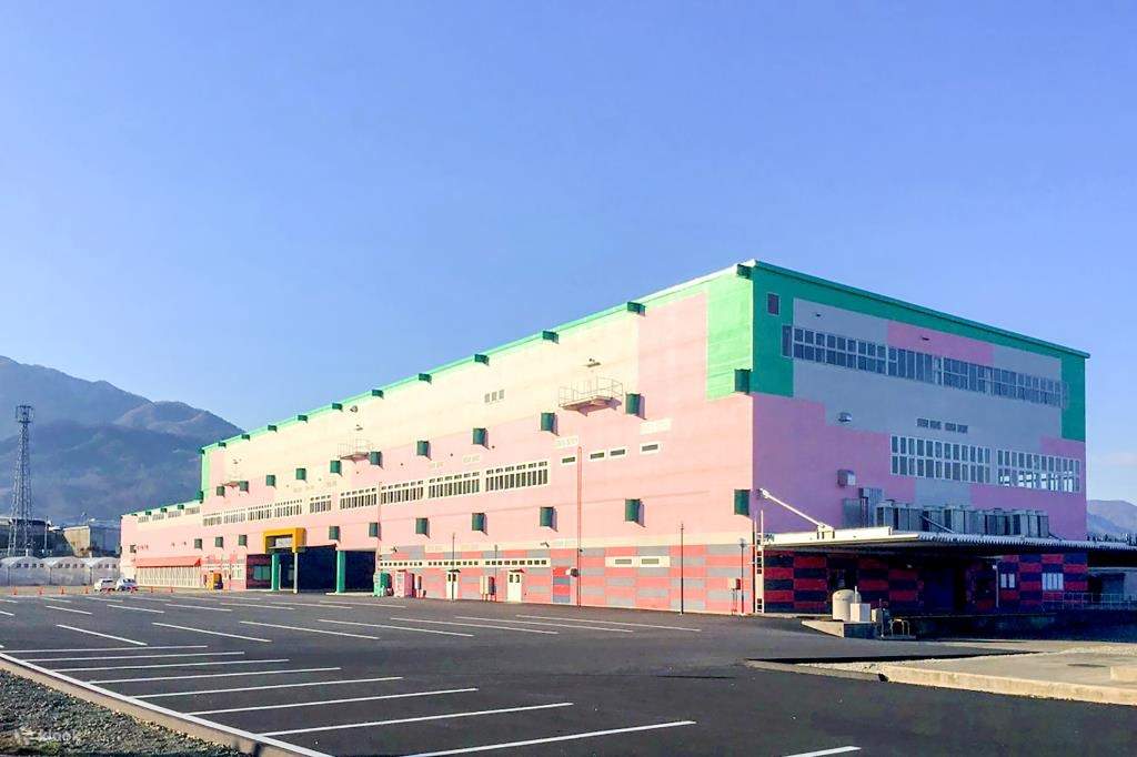 Mount Fuji Yamanashi Fruit Picking & Kawaguchiko Landmark Sightseeing ...