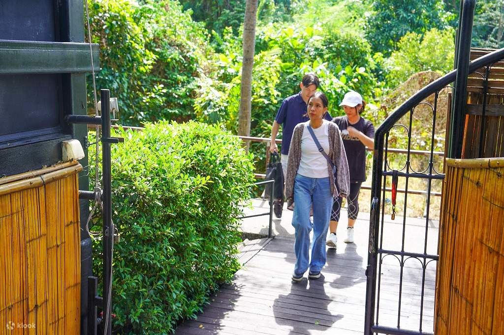 Bangkok Green Oasis Nature Bike Tour - Klook India