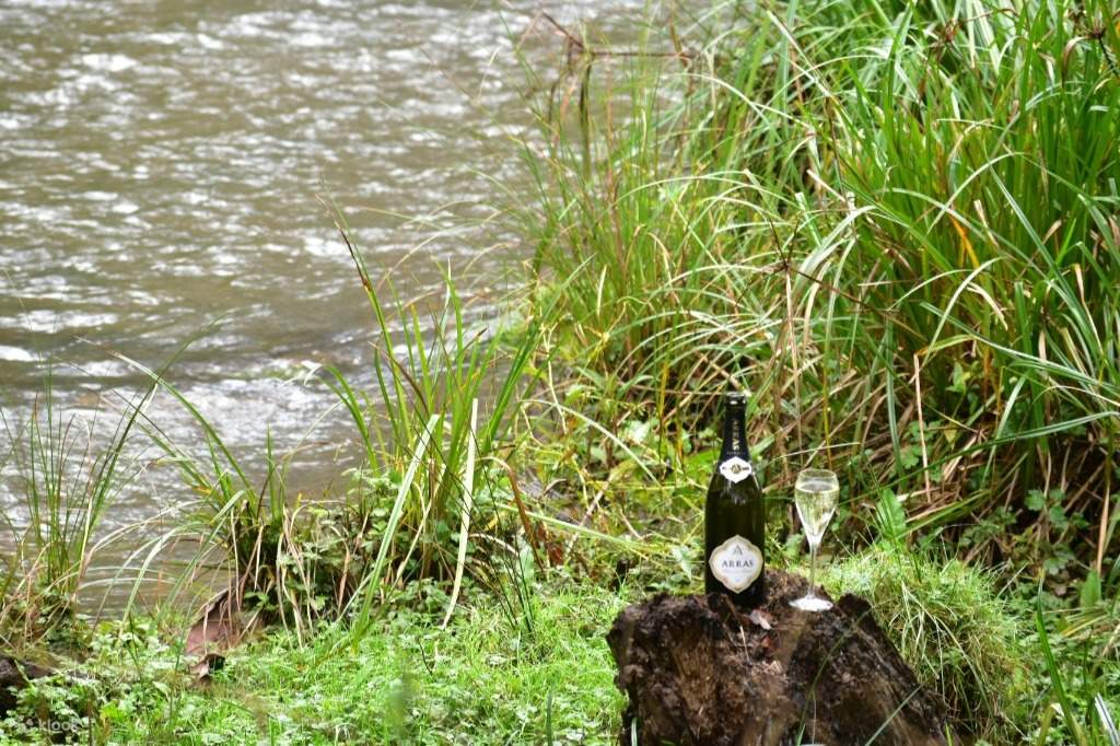 Wine, Wildlife and Vineyard Walk at Bay of Fires Winery - Klook United ...