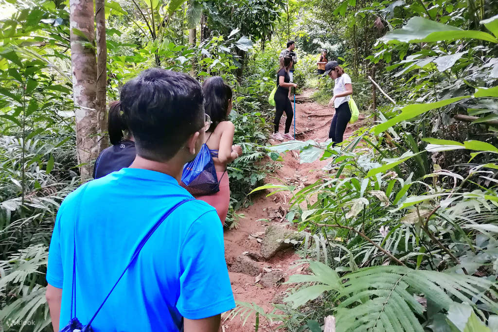 Phuket Hiking Tour - Klook