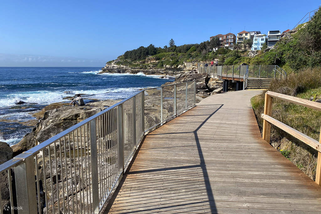 Bondi to Coogee Coastal Hike & A La Carte Lunch at Coogee Bay Hotel - Klook