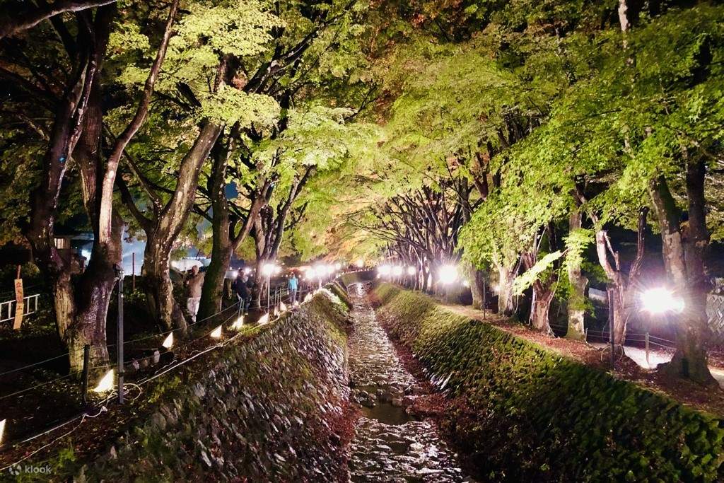 Fujisan and Tokyo 23 wards Private One Day Guided Tour - Klook