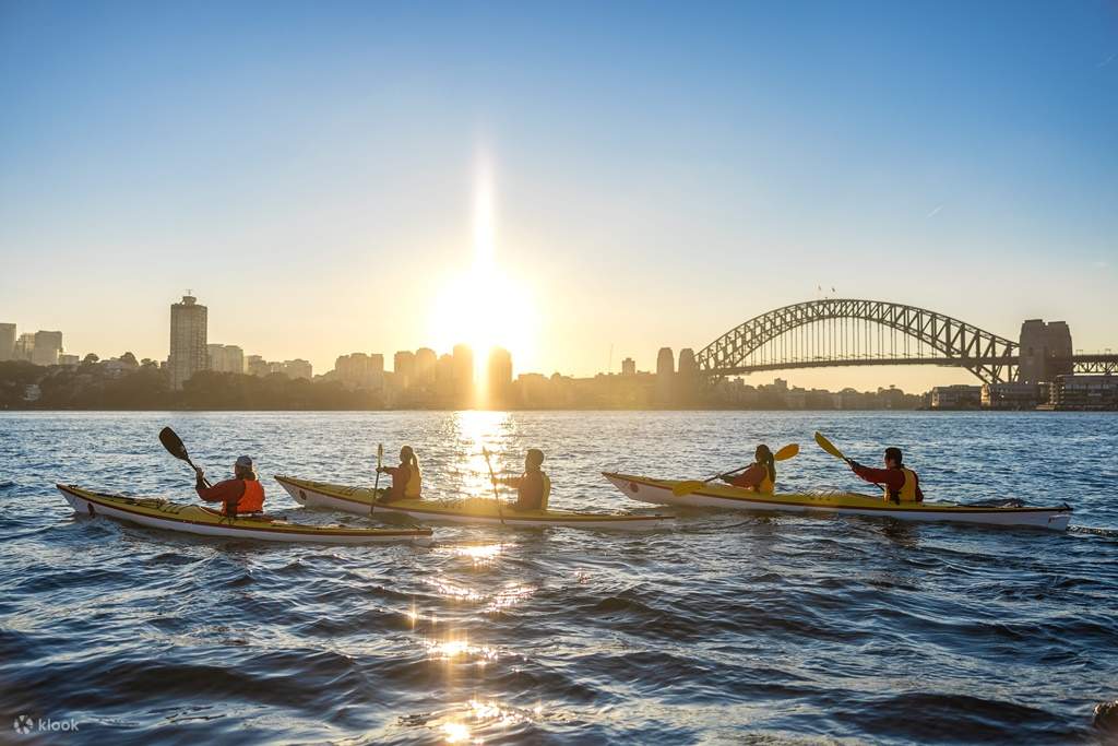 Sydney Harbour Guided Kayak Sunrise Tour - Klook India
