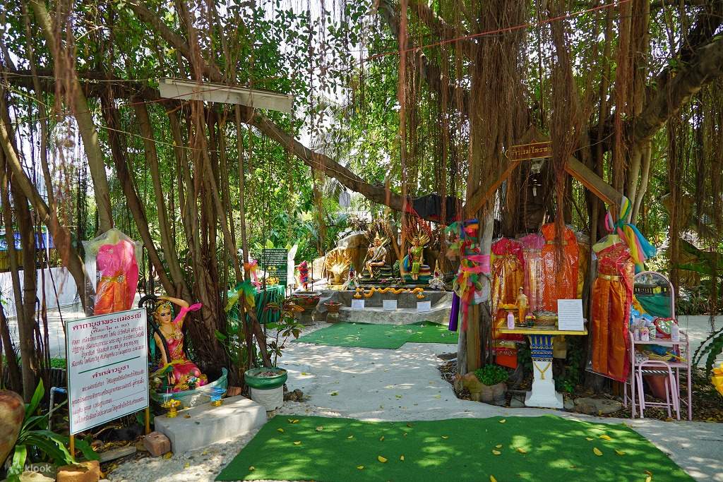 Bangkok Green Oasis Nature Bike Tour - Klook India