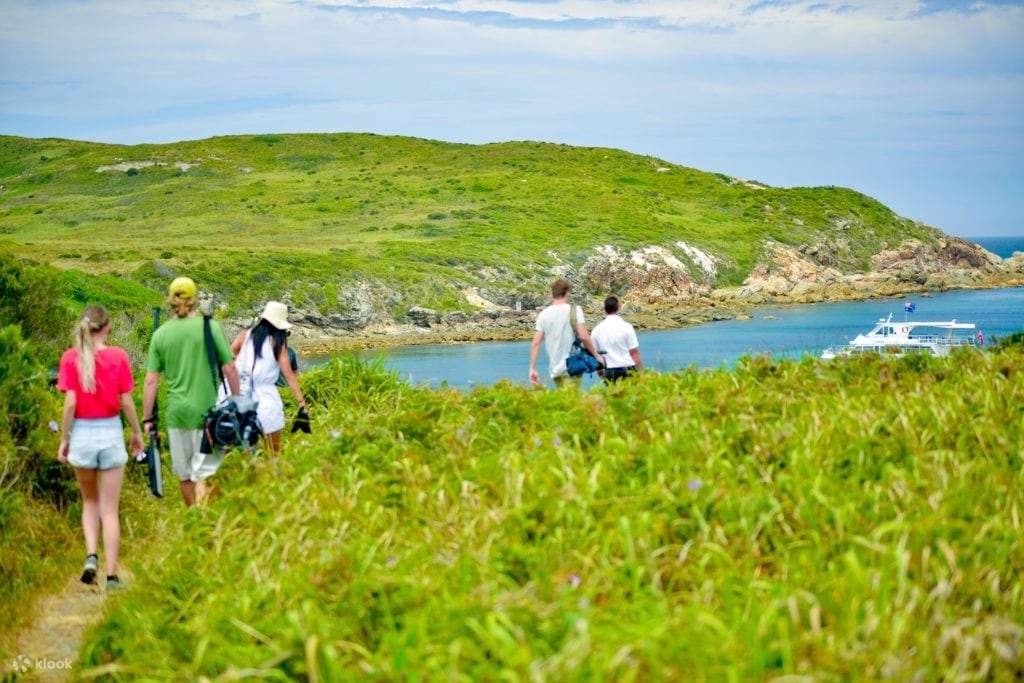 Broughton Island Cruise Ticket in Port Stephens - Klook Australia