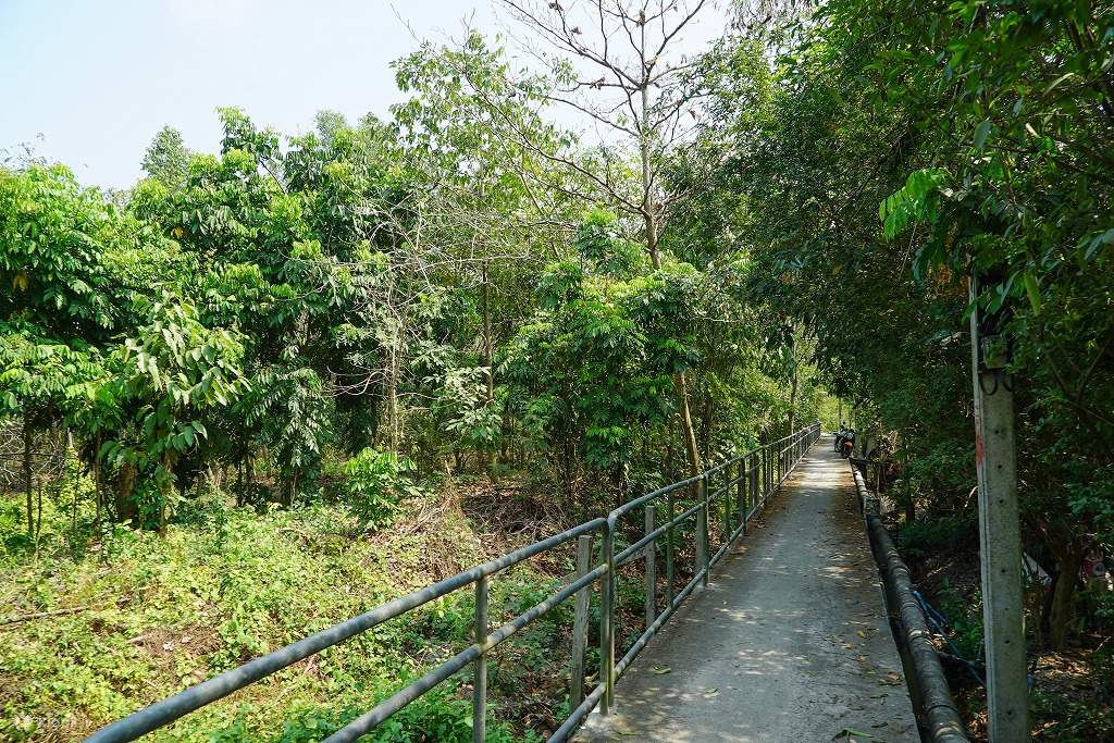 Bangkok Green Oasis Nature Bike Tour - Klook